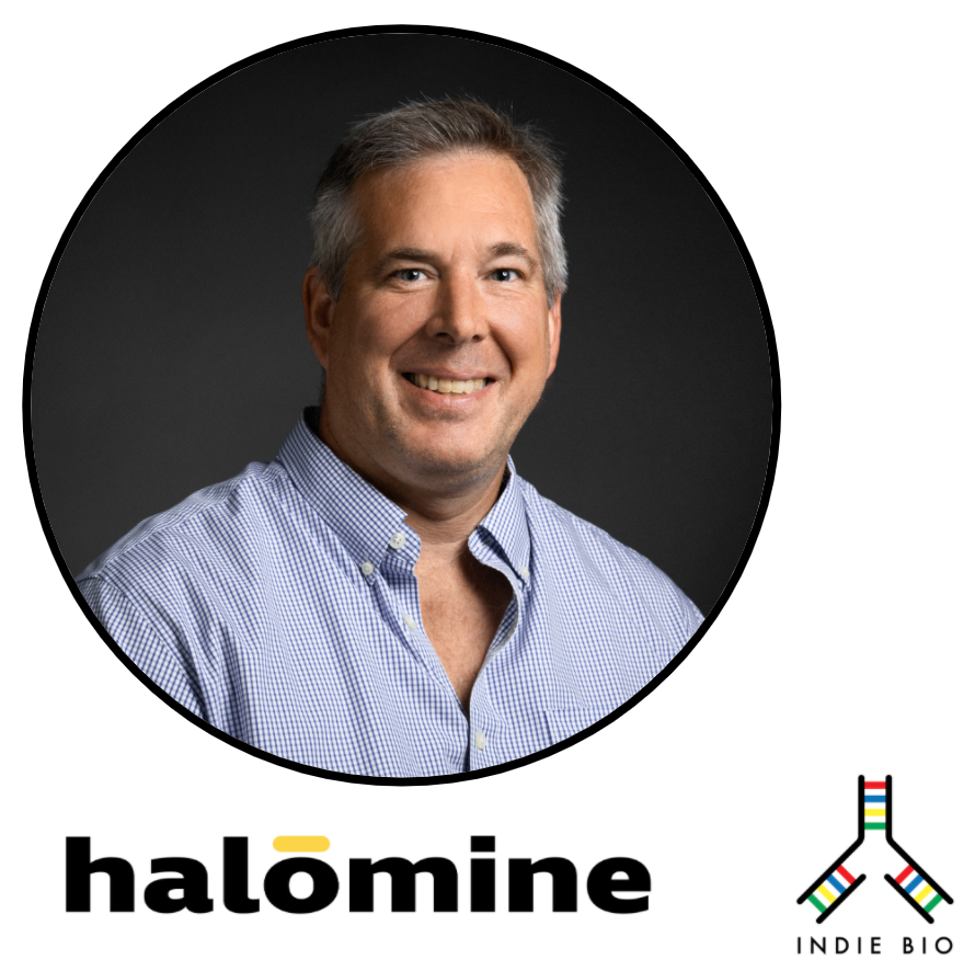 Halomine: Making Every Surface an Antimicrobial Surface - IndieBio