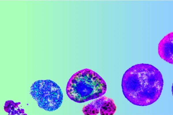 Homepage - IndieBio - #1 in Early Stage Biotech