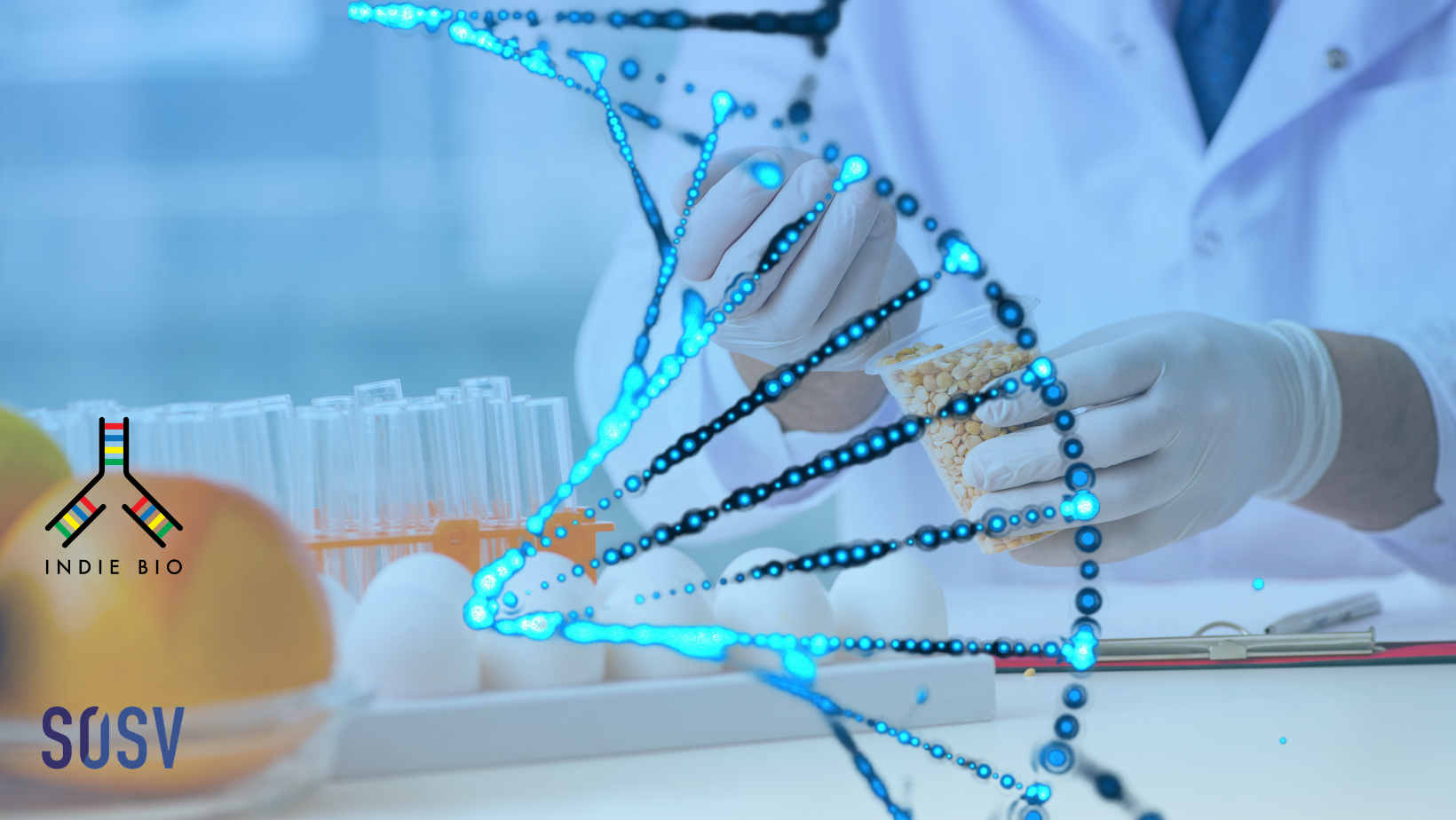 Food Tech Futures: What’s Next for Biotech? - IndieBio - #1 in Early ...